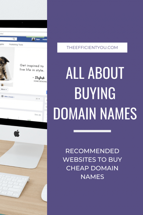 Where to buy cheap domain names for your author website